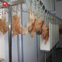 China Halal Chicken Slaughter Equipment 2000-10000 Birds per Hour Poultry Processing Machine for sale