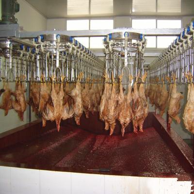 China 500PCS Automatic Slaughterhouse Equipment Chicken Farming Poultry Line for sale