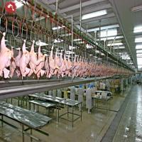 China Halal Poultry Automatic Chicken Slaughtering Machine 300BPH To 10000BPH for sale