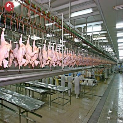 China Automatic Halal Poultry Chicken Slaughtering Processing Machine 300-1000BPH 380V for sale