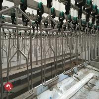 China Halal Chicken Slaughtering Equipment 500BPH-800BPH Integrated Poultry Processing Line for sale