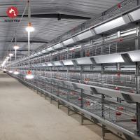 China H Type Complete Automatic Broiler Chicken Cage 4 Tiers for sale