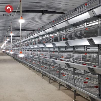 China H Type Complete Automatic Broiler Chicken Cage 4 Tiers for sale