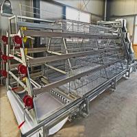 China A Type Layer Manure Cage Hot Dip Galvanized Cage Broiler On Poultry Farm for sale