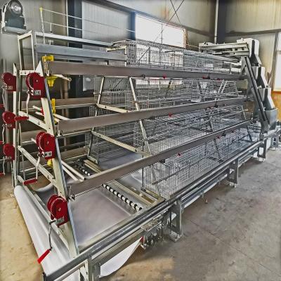 China A Type Layer Manure Cage Hot Dip Galvanized Cage Broiler On Poultry Farm for sale
