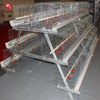 China Long Time A Type Farm Chicken Battery Cages For Layers Double Cold Galvanized for sale