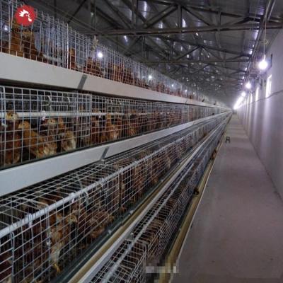 China HDG Steel H Type Broiler Chicken Cage 3-4 Layers Automatic Feeding System 500cm2 per Bird for sale