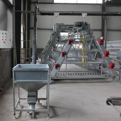 China Q235 Hot  Galvanized Automatic Egg Layer Chicken  For Poultry Farm for sale