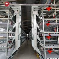 China Galvanized Automatic Layer Cage Egg Chicken Poultry Farm With Automatic Manure Removal System for sale