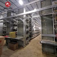 China H Type Fully Automatic Layer Chicken Cage System 65×125×287cm 4-Tier Design for 30,000 Bird Poultry Farms for sale