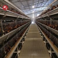 China H-Type Automatic Layer Chicken Cage System with 4-10 Tiers and 450 cm² Bird Space for Efficient Poultry Farming for sale