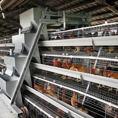 China 10000 Layers Battery Chicken Cage Automatic Drinking for sale