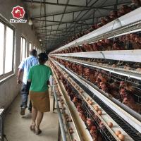 China 10000 Layers Battery Chicken Cage Automatic Drinking for sale