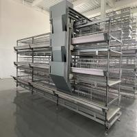 China H Type Poultry Cages for Laying Hens - 3-8 Tier Systems with 54-384 Bird Capacity | Hot-Dip Galvanized Construction for sale