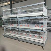 China H Type Broiler Chicken Cage 3 Tier 4 Tier With Automatic Feeding System for sale