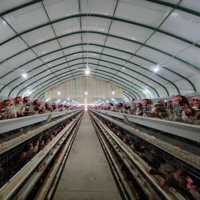 China Automatic 4 Layer Battery Poultry Chicken Cage Chicken Layer Farming Equipment for sale