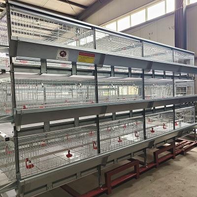 China Poultry Farming Equipment Automatic H Type Battery System Broiler Chicken Cages for sale