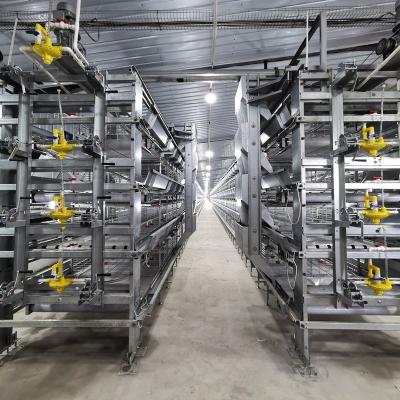 China Galvanized Automatic Layer Cage Egg Chicken Poultry Farm With Automatic Manure Removal System for sale