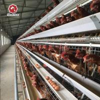 China Affordable Automatic A-Type Layer Battery Cage System for Medium & Large Poultry Farms for sale