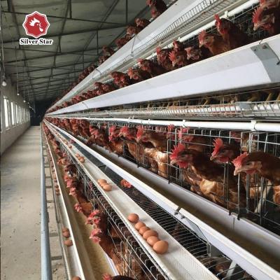 China Affordable Automatic A-Type Layer Battery Cage System for Medium & Large Poultry Farms for sale