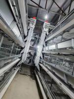 China H Type Layer Chicken Cages System Q235A Automatic Laying Hen Egg Battery for sale
