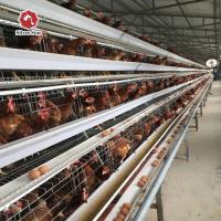 China Layer Poultry Battery Cage With Belt Or Scraper Manure Removal System for sale
