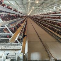 China Hot Dipped Galvanized A Type Layer Chicken Cage For Farm for sale