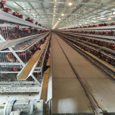 China Hot Dipped Galvanized A Type Layer Chicken Cage For Farm for sale