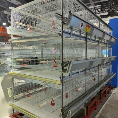China 3 Tier H Type Pullet Cage Battery Baby Layer Chicken Cage 50000 Birds 85x220x260 cm for sale