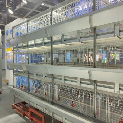 China Q235 Hot  Galvanized Automatic Day Old Chicks Cage For Poultry Farm for sale