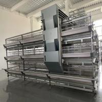 China Space-Saving Design High Yield H-Type Fully Automatic Layer Cages for Modern Farms for sale
