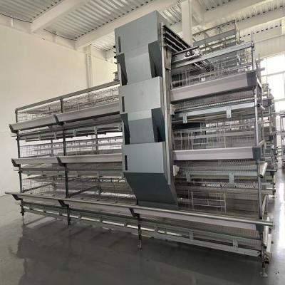 China 30000 Birds Hot Dip Galvanized Steel H Type Battery Cages for Broiler Chicken 4 Tiers for sale