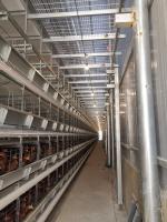 China 1950×2300×1500 Galvanized Automatic A Type Layer Cage Egg Chicken Poultry Farm Automatic Breeding System for sale