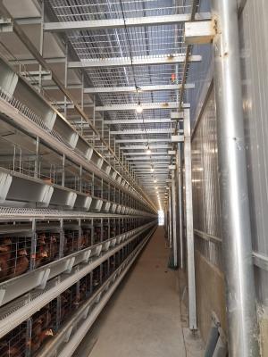 China Hot-dip Galvanized Chicken Cages With Stacked Layers Boost Feeding Density And Productivity. for sale