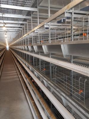 China Layer Chicken Cages With Hot-dip Galvanization And Stacking Increase Feeding Density And Productivity. for sale