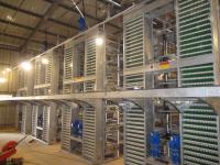 China Efficient Poultry Farming: Hot Galvanized High-Density Egg Layer Chicken Cage for sale