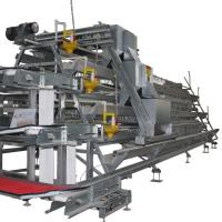 China Automatic Egg Collection Device For  A Type And H Type Chicken Cage For Poultry Raise for sale