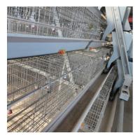 China Q235 Hot  Galvanized Automatic Egg Layer Chicken  For Poultry Farm for sale