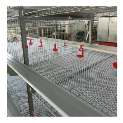 China Hot Galvanized Automatic H Type Chicken Cage Layer Poultry For Farming Equipment for sale