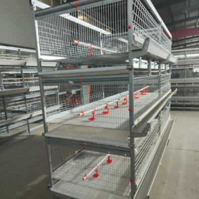 China Automatic Egg Collecting System Included Poultry Raising With Egg Layer Chicken Cage for sale