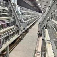 China Hot  Galvanized Automatic A Type H Type Chicken Cages Layer For Poultry Cage for sale