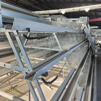 China A Type Battery Layer Chicken Cages H-Type Battery Cage And Automatic Breeding System for sale