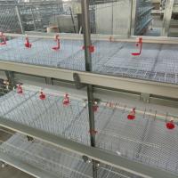 China A Type Battery Layer Chicken Cages H-Type Battery Cage And Automatic Breeding System for sale