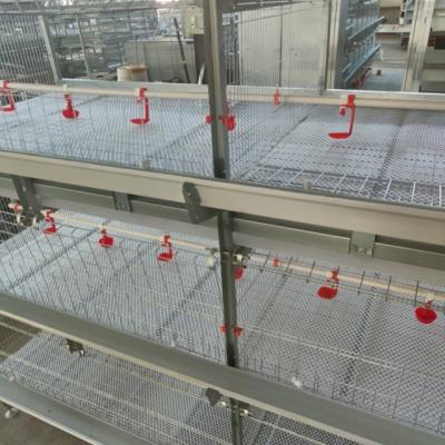 China 4 Layer Battery H Type Chicken Egg Laying Hens Poultry Cage With Automatic Egg Collection System for sale
