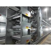 China Automatic Egg Collection Device For  A Type And H Type Chicken Cage For Poultry Raise for sale