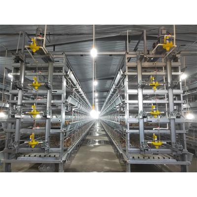 China H Type Layer Chicken Cage Automatic Poultry Equipment Battery Cage For Layer Chicken for sale