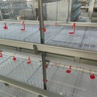 China Automated Ventilated Layer Cage System Accommodates 120 Birds Across Four Tiers for sale