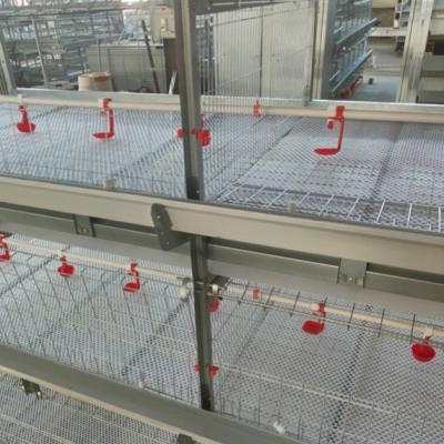 China Fully Automatic H Type Layer Chicken Cage 1800x600x430mm Poultry Farm Equipment 3 to 8 Tiers for sale
