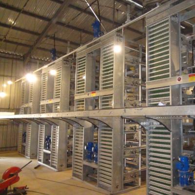 China Automated Ventilated Layer Cage System Accommodates 120 Birds Across Four Tiers for sale