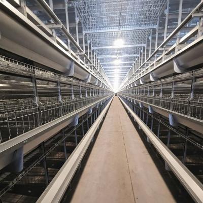 China H Type Battery Cage for Layer Chickens 1800mm x 600mm 3 Tier 144 Birds Poultry Farm Equipment for sale
